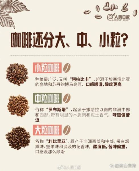 咖啡的故乡是哪里_在哪个洲-第1张图片-山城妙识