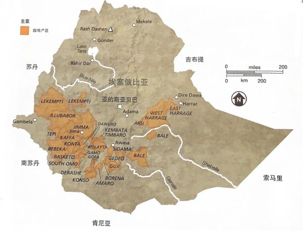 咖啡的故乡是哪里_在哪个洲-第3张图片-山城妙识