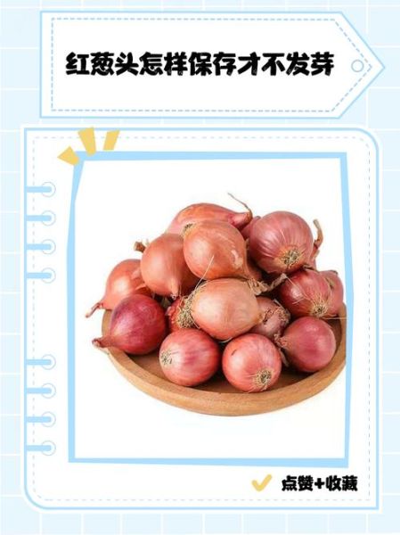 红葱头怎么保存_红葱头与洋葱区别-第2张图片-山城妙识
