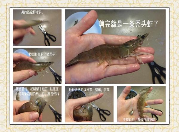 熟虾怎么去虾线_熟虾去虾线的绝招-第2张图片-山城妙识