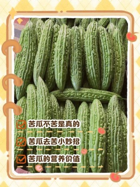苦瓜怎么去除苦味_苦瓜去苦味的小妙招-第3张图片-山城妙识