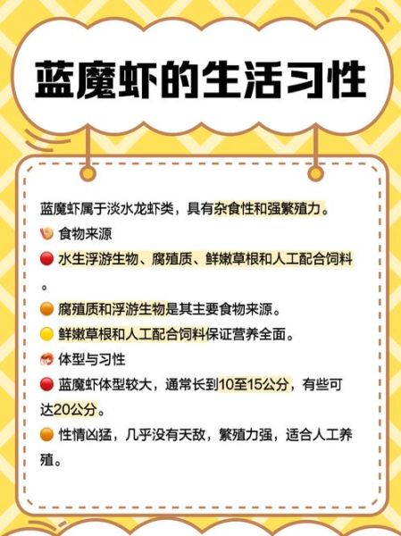 蓝魔虾多少钱一只_蓝魔虾价格影响因素-第3张图片-山城妙识