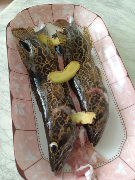 清蒸桂鱼改刀方法_清蒸桂鱼改刀技巧-第1张图片-山城妙识