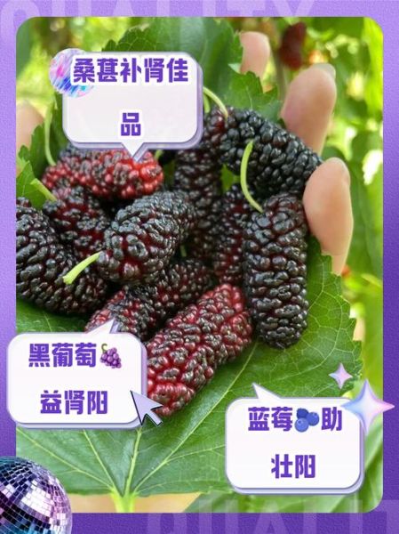 壮阳食物有哪些_壮阳水果排行榜-第3张图片-山城妙识