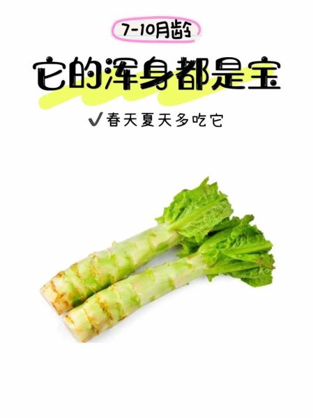 莴苣和生菜的区别_莴苣怎么做好吃-第2张图片-山城妙识