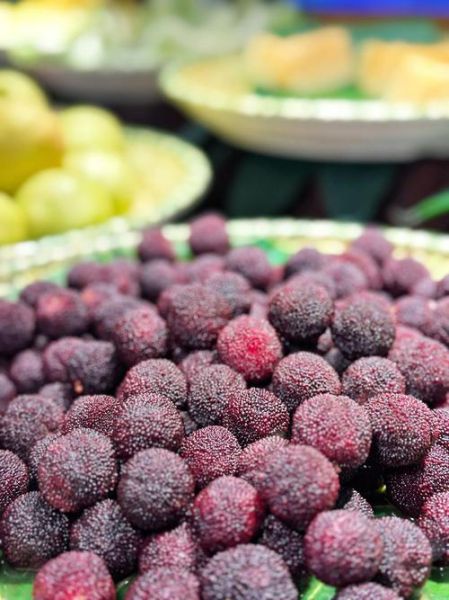 杨梅图片怎么拍_杨梅图片真实吗-第2张图片-山城妙识 杨梅图片怎么拍_杨梅图片真实吗-第2张图片-山城妙识