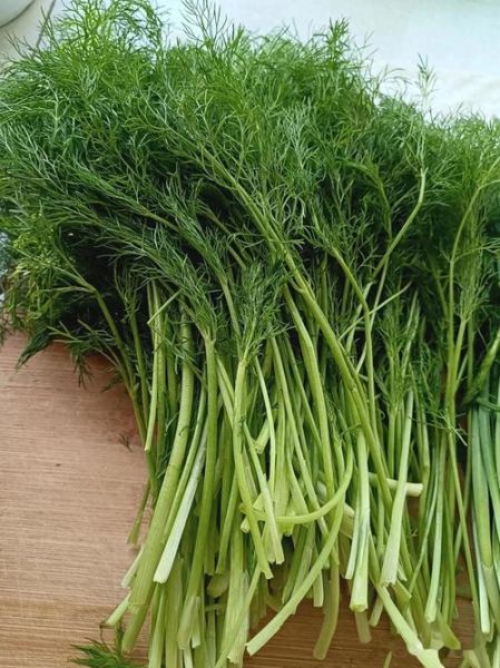 小茴香苗做饺子馅怎么做_小茴香苗饺子馅做法窍门-第2张图片-山城妙识