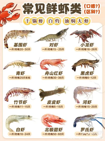 虾的品种有哪些图片_常见虾类高清图鉴-第2张图片-山城妙识 虾的品种有哪些图片_常见虾类高清图鉴-第2张图片-山城妙识