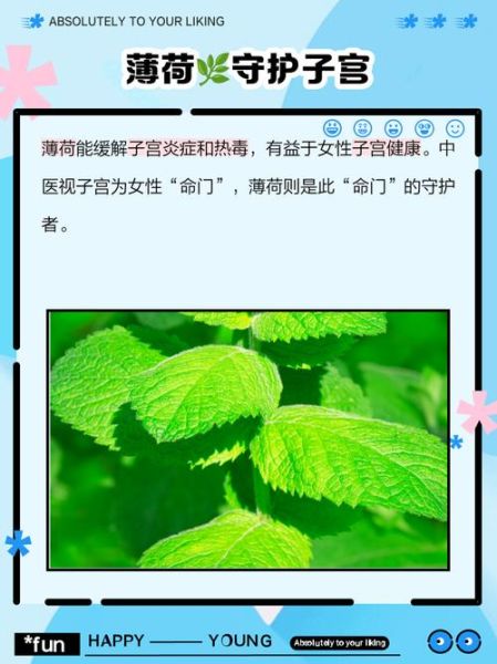 薄荷对妇科病有好处吗_薄荷治疗妇科炎症真的有效吗-第2张图片-山城妙识