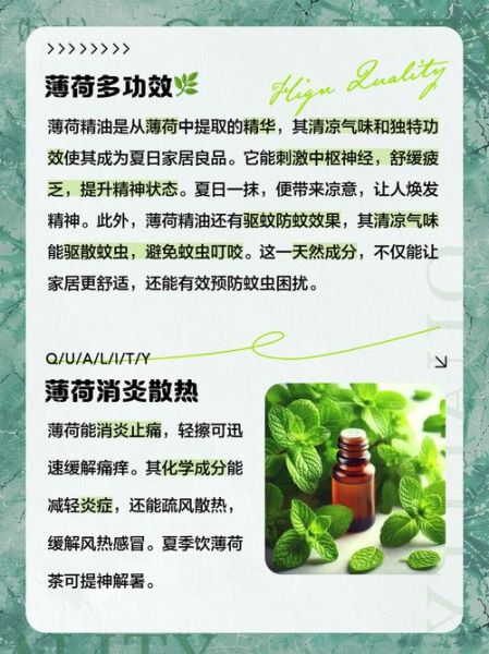薄荷对妇科病有好处吗_薄荷治疗妇科炎症真的有效吗-第3张图片-山城妙识