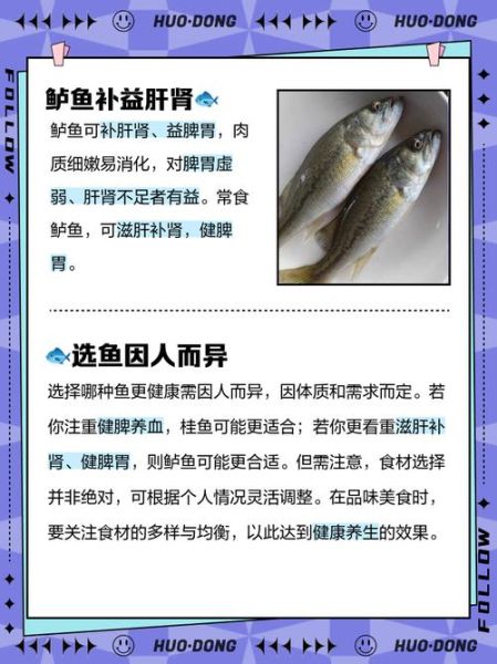 鲈鱼桂鱼哪个更营养_区别功效全解析-第1张图片-山城妙识