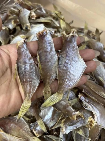 扒皮鱼怎么做好吃_扒皮鱼做法视频教学-第1张图片-山城妙识