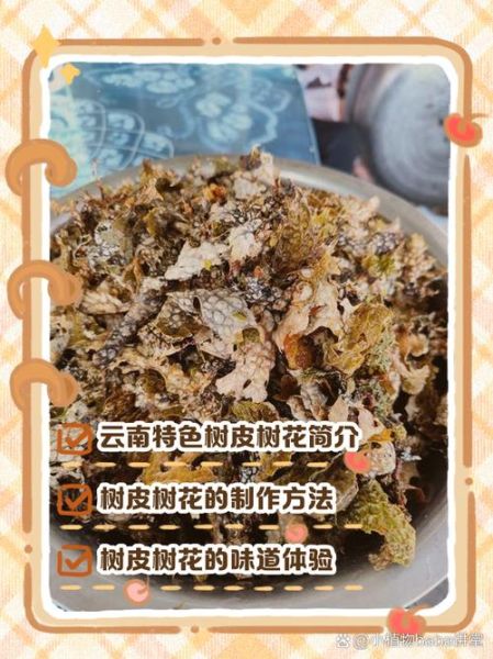 树花菜怎么做好吃_树花菜的做法大全-第1张图片-山城妙识