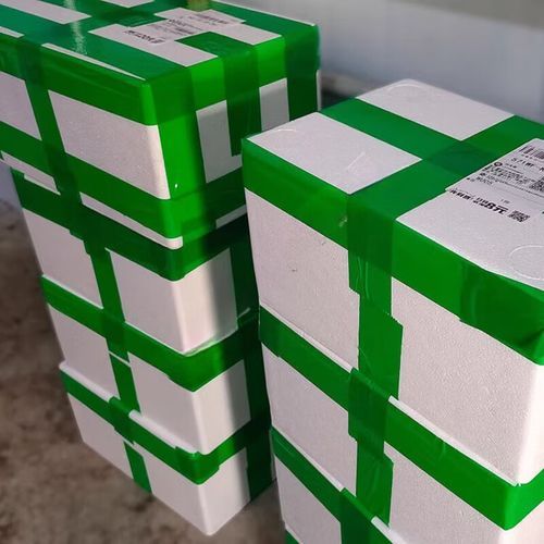 豆瓣菜是什么菜_豆瓣菜和西洋菜的区别-第3张图片-山城妙识