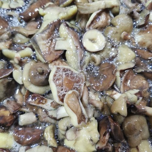 蘑菇焯水要多久_蘑菇焯水用冷水还是热水-第3张图片-山城妙识