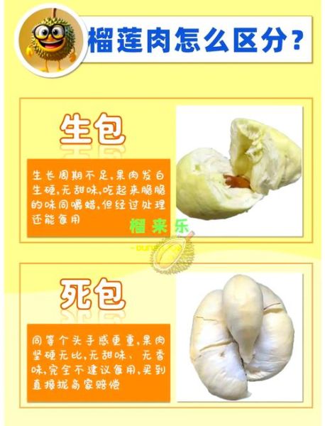 榴莲死包和生包的区别_如何辨别-第3张图片-山城妙识