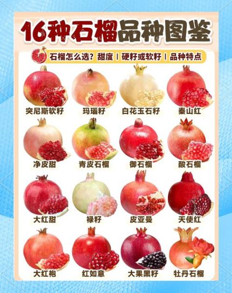 石榴果怎么挑选_石榴果的功效与作用-第2张图片-山城妙识