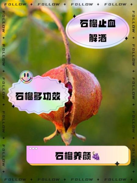 石榴果怎么挑选_石榴果的功效与作用-第3张图片-山城妙识