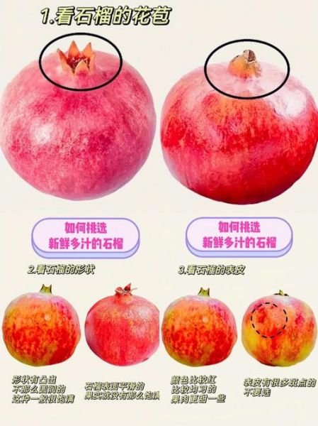 石榴果怎么挑选_石榴果的功效与作用-第1张图片-山城妙识