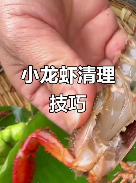 怎么清洗小龙虾又快又干净_小龙虾清洗技巧-第3张图片-山城妙识