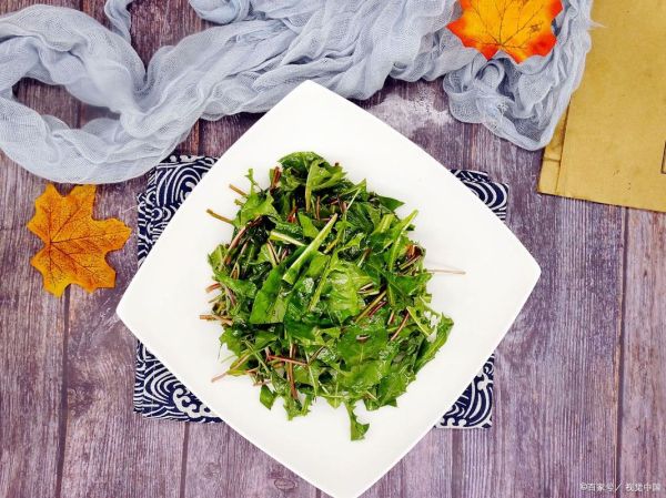 蒲公英怎么吃好吃又简单_蒲公英怎么凉拌好吃-第3张图片-山城妙识