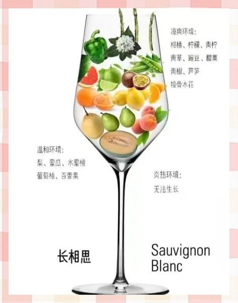 葡萄品种有哪些_哪些葡萄适合酿酒-第2张图片-山城妙识