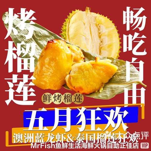 澳洲蓝龙虾怎么养_澳洲蓝龙虾多少钱一斤-第2张图片-山城妙识