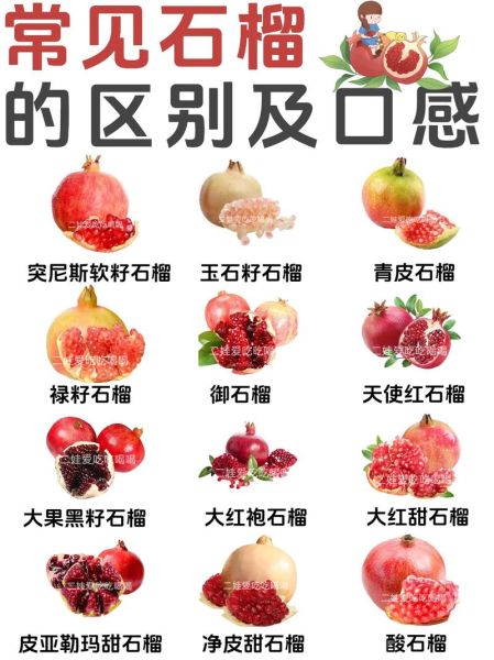 软籽石榴怎么挑选_软籽石榴和硬籽石榴区别-第1张图片-山城妙识