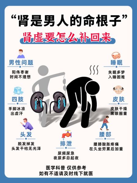 肾虚多久能恢复过来_肾虚调理周期要多久-第2张图片-山城妙识