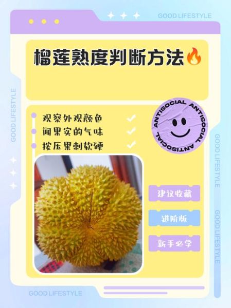榴莲蜜怎么看熟不熟_榴莲蜜成熟判断方法-第2张图片-山城妙识