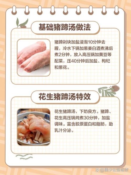 下奶猪蹄汤怎么做_下奶猪蹄汤的做法大全-第1张图片-山城妙识