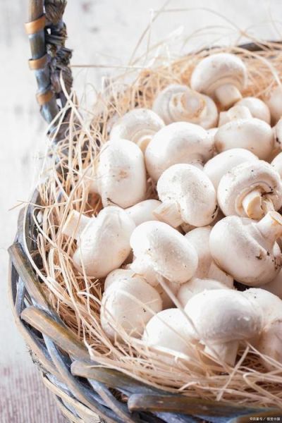 白玉菇产地在哪里_白玉菇哪里的最好吃-第3张图片-山城妙识 白玉菇产地在哪里_白玉菇哪里的最好吃-第3张图片-山城妙识