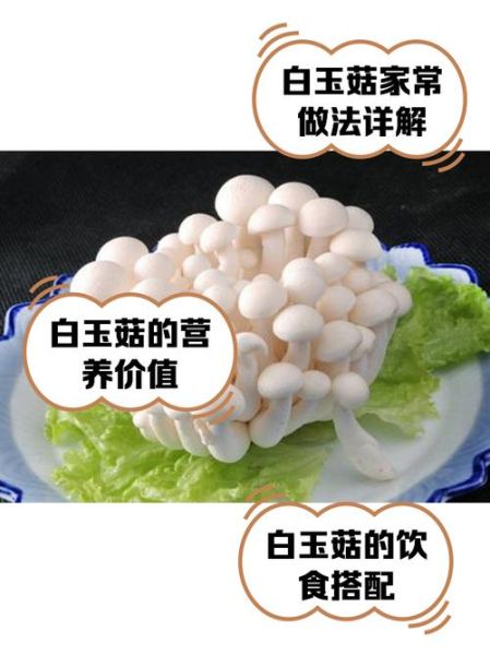 白玉菇产地在哪里_白玉菇哪里的最好吃-第1张图片-山城妙识 白玉菇产地在哪里_白玉菇哪里的最好吃-第1张图片-山城妙识