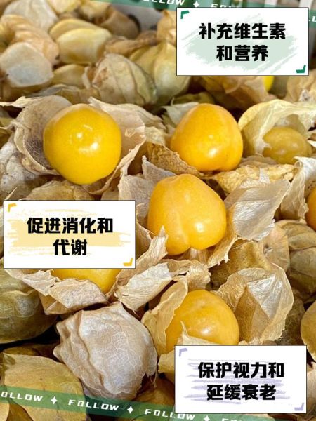 姑娘果孕妇能吃吗_姑娘果的功效与作用-第2张图片-山城妙识