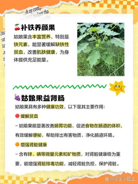 姑娘果孕妇能吃吗_姑娘果的功效与作用-第1张图片-山城妙识