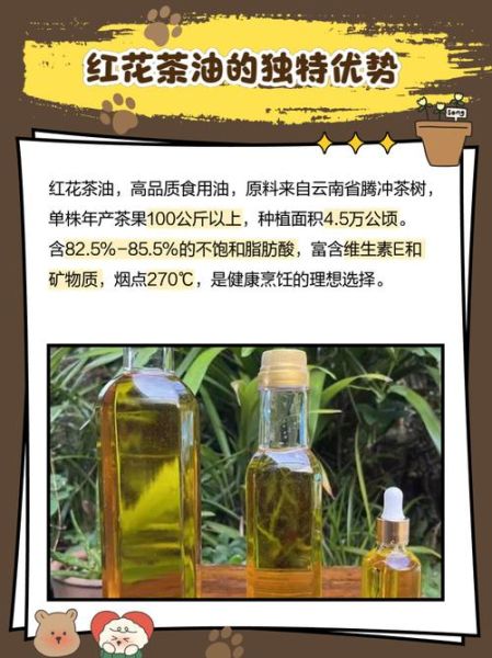 茶油是什么原料做的_茶油原料有哪些-第1张图片-山城妙识