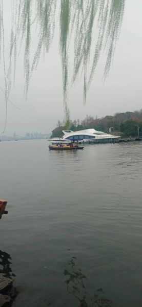 虾球传主题曲原唱是谁_游子吟演唱者资料-第3张图片-山城妙识