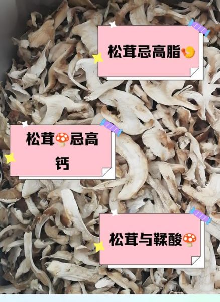 松茸不适合哪些人吃_过敏体质能吃松茸吗-第3张图片-山城妙识