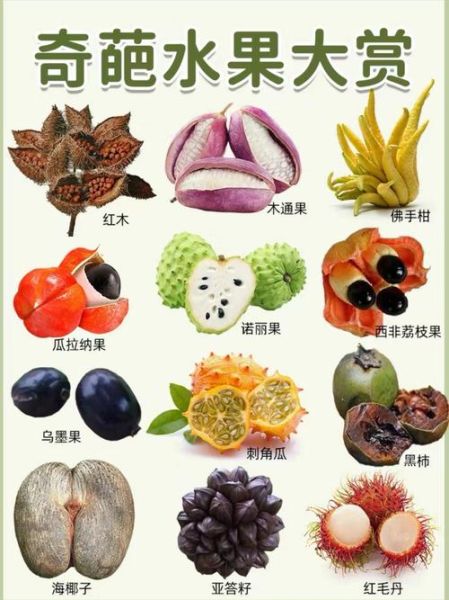 水果名字大全图片_哪些水果名字最难记-第1张图片-山城妙识