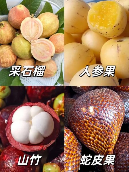 水果名字大全图片_哪些水果名字最难记-第3张图片-山城妙识