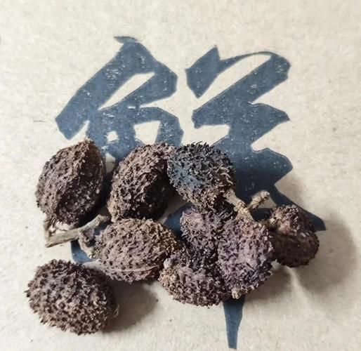 春砂仁的功效与作用_春砂仁怎么吃效果好-第1张图片-山城妙识