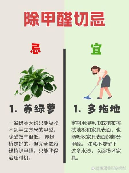 怎样去除甲醛最有效_怎样去除甲醛最快-第2张图片-山城妙识