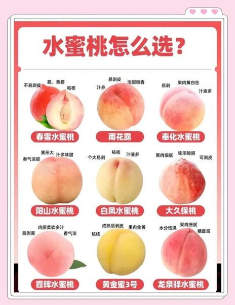 水蜜桃热量高吗_减肥能吃吗-第2张图片-山城妙识