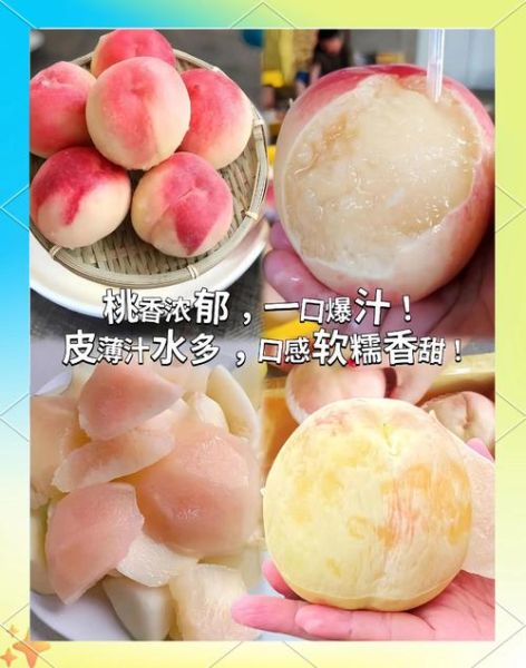 水蜜桃热量高吗_减肥能吃吗-第3张图片-山城妙识