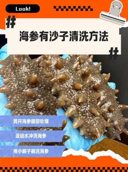 新鲜海参怎么处理_海参怎么清洗去内脏-第3张图片-山城妙识 新鲜海参怎么处理_海参怎么清洗去内脏-第3张图片-山城妙识
