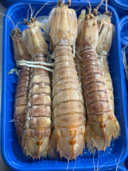 盒装冷冻皮皮虾骗局揭秘_如何辨别真假-第2张图片-山城妙识