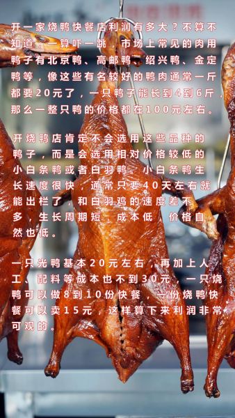 开烤鸭店一年能赚多少钱_烤鸭店利润分析-第1张图片-山城妙识