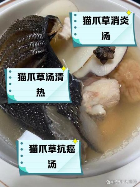 猫肉煲汤的做法大全_猫肉煲汤怎么做好吃-第1张图片-山城妙识