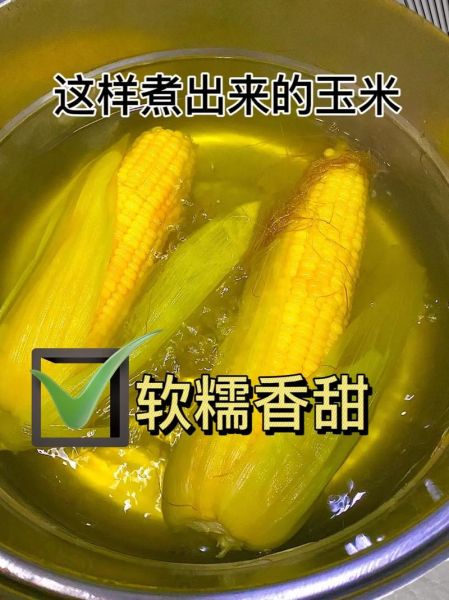 蒸玉米和煮玉米哪个熟得快_蒸玉米和煮玉米时间对比-第3张图片-山城妙识