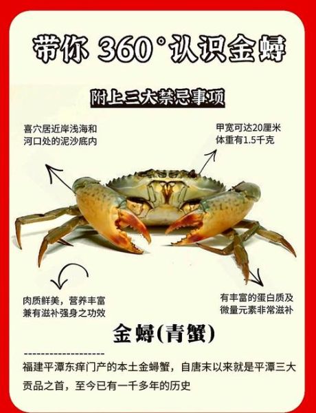螃蟹的营养价值及功效与作用_吃蟹有哪些禁忌-第1张图片-山城妙识